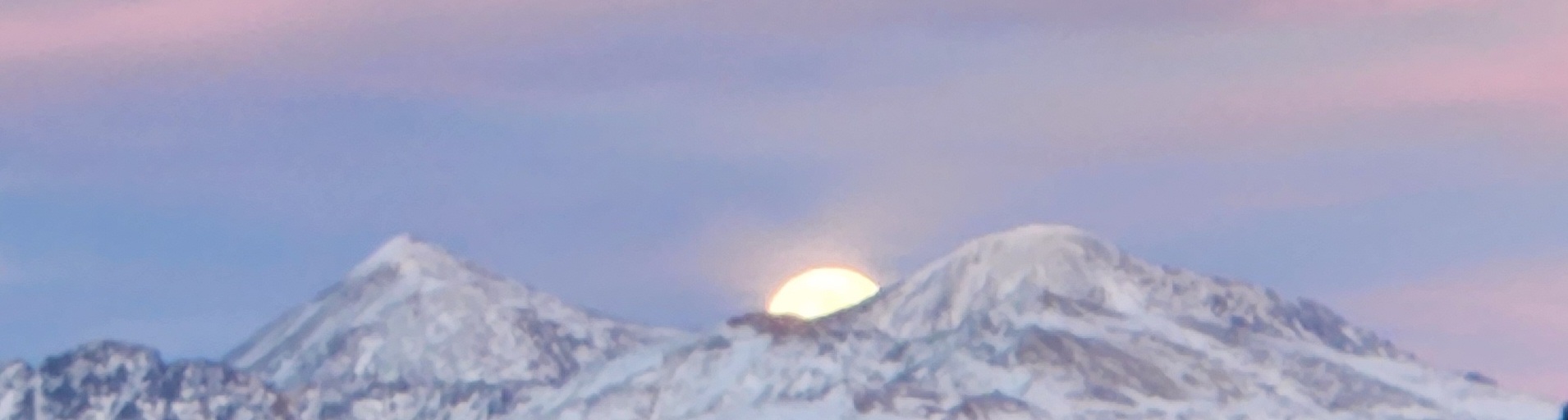 Gray Wolf Interactive LLC