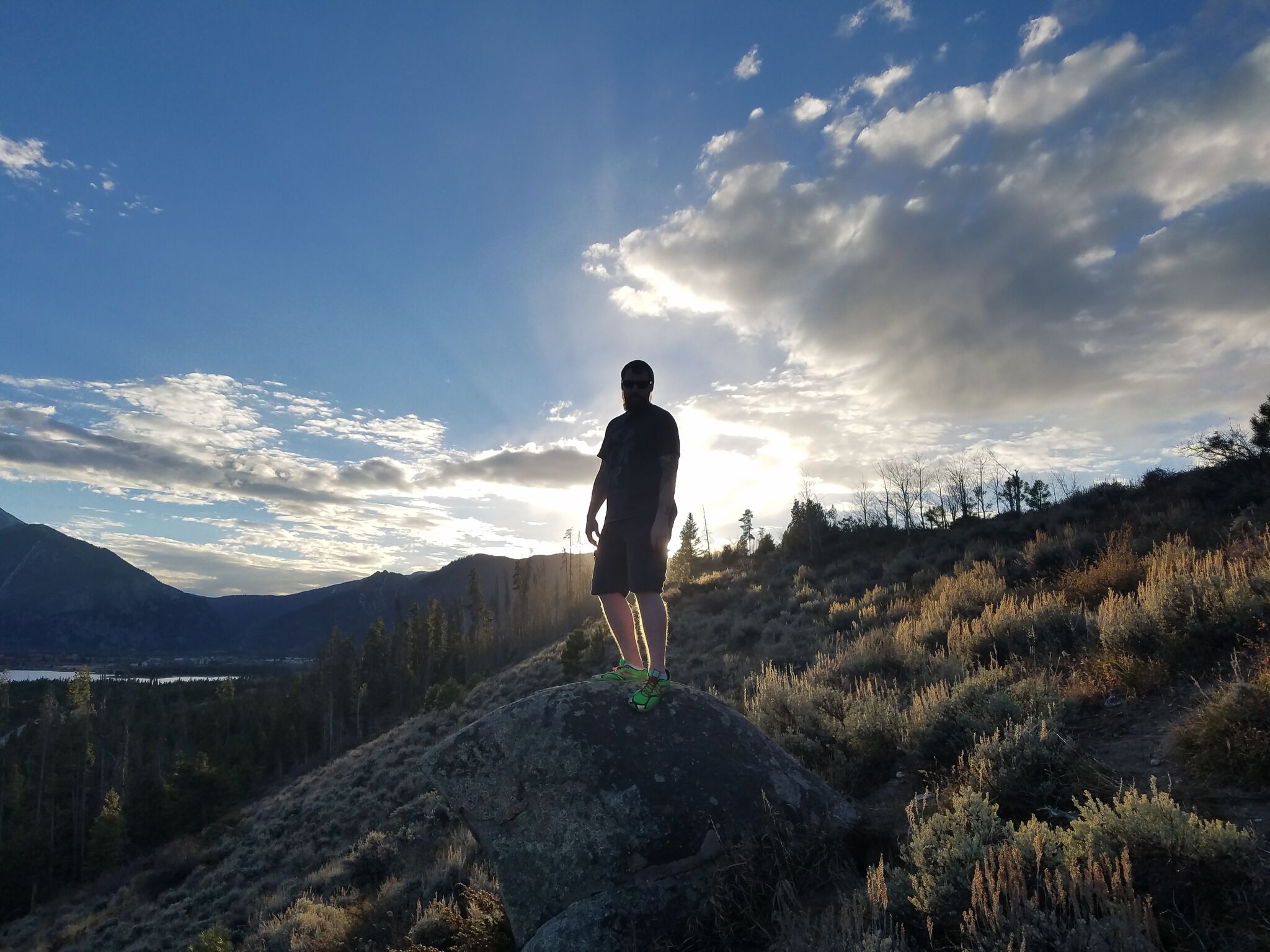 Gray Wolf Interactive LLC