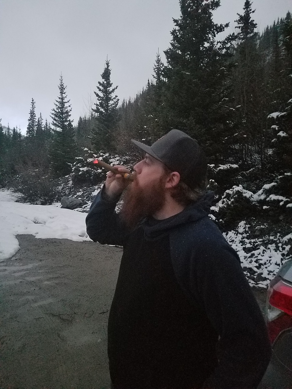 Gray Wolf Interactive LLC